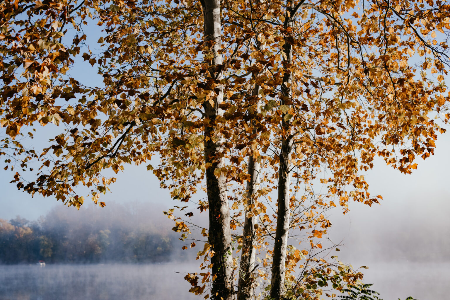 Colleen + Liam // Riverhouse at Odettes - Tyler Boye Photography